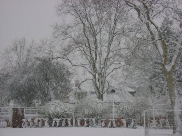 Peter Rudiak-Gould - Oxford snow photos